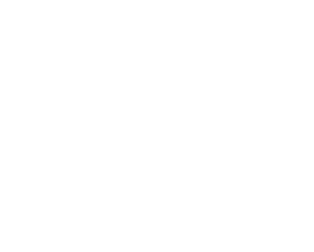 What is the Silver Economy?